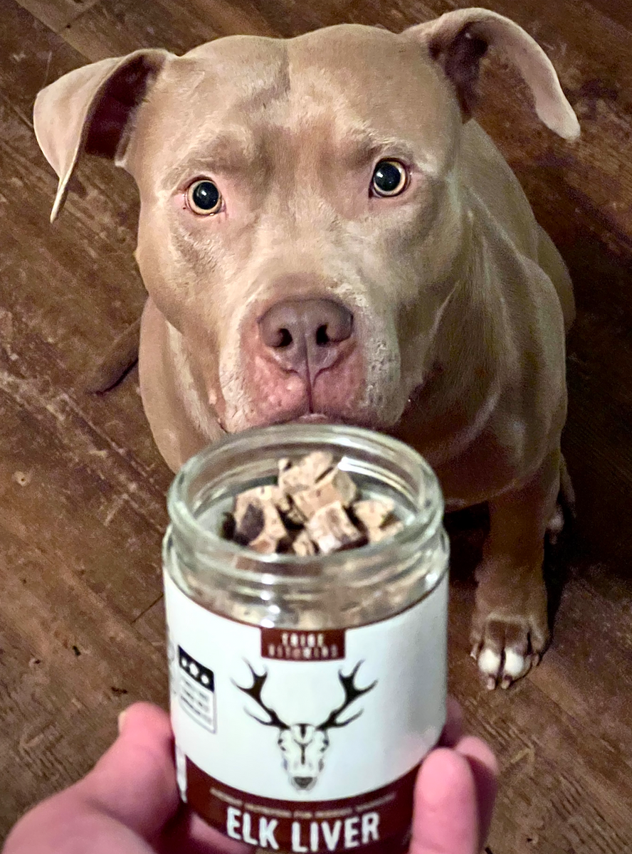 Wild Elk Liver Treats – Tribe Vitamins